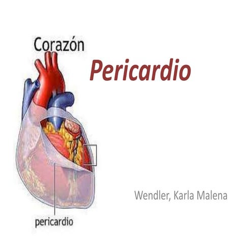Corazón - Pericardio | PPTX