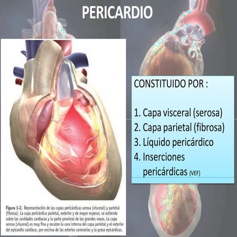 pericardio .pptx