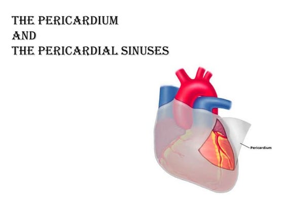 Pericardium Anatomy | PPTX | Heart and Cardiovascular Diseases ...