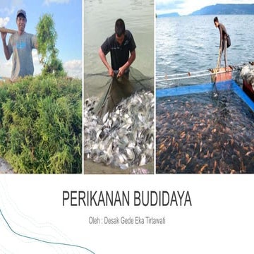 Perikanan Budidaya.pptx