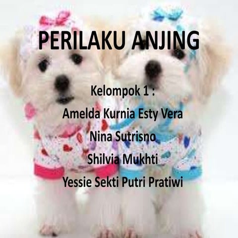 Perilaku anjing | PPTX