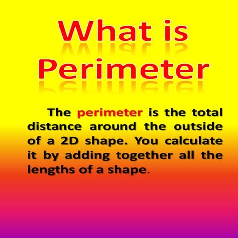 Perimeter | PDF