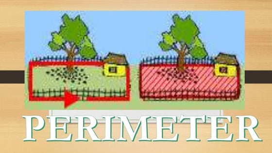 Perimeter | PPT | Physics | Science