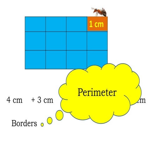 Perimeter | PPT
