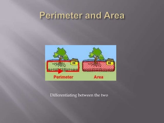 Area & perimeter i | PDF