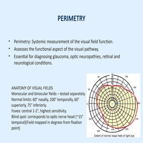 Visual Field | Humphrey Perimetry | PDF