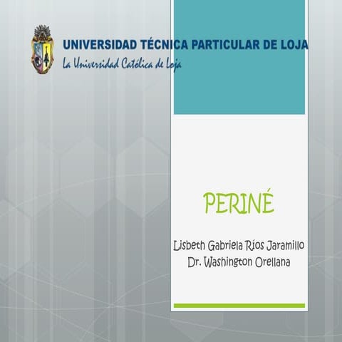 Musculos del periné. | PPTX