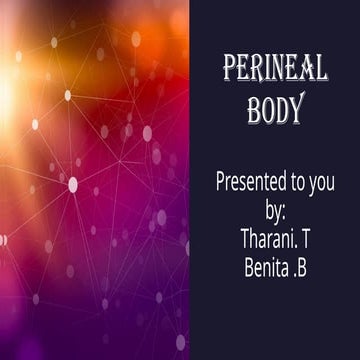 PERINEAL BODY PPT ANATOMY MBBS 1ST YEAR | PPTX