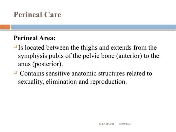 Perineal care | PPT