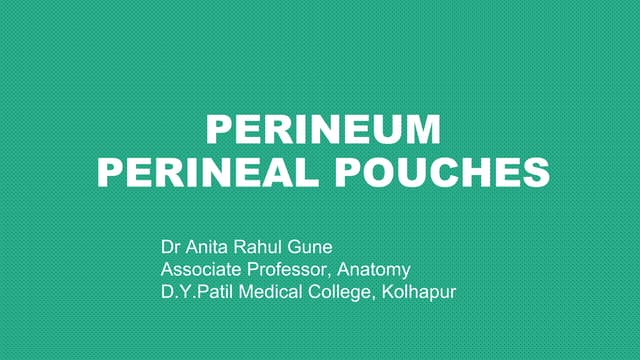 Rectouterine Pouch.pptx