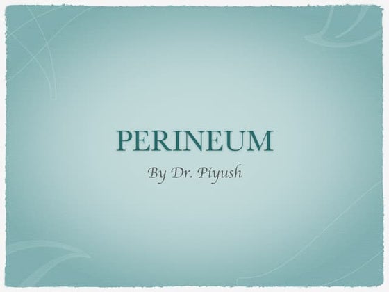 Suboccipital triangle | PDF