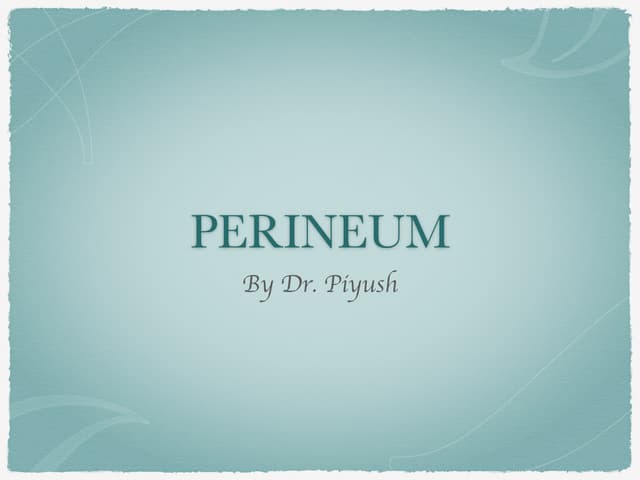 Ischiorectal fossa | PPTX