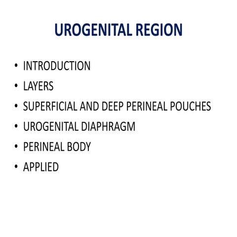 Perineal pouches & urogenital diaphragm | PPT
