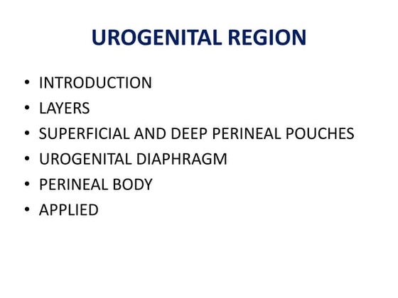 Female pelvis ppt | PPTX