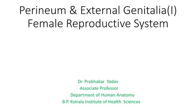 Perineum and urogenital diaphragm.pptx