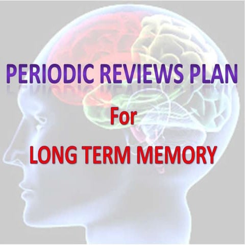 Periodic Reviews Plan | PPTX
