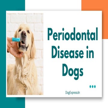 Periodontal Disease in Dogs.pdf