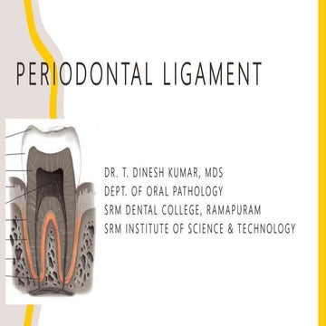 Periodontal ligament : accessory fibers | PPTX