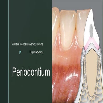 Periodontium characteristics and parts | PDF