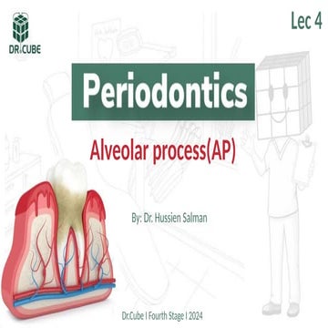 Perio Lec 4 alveolar process .pptxpppppp | PPTX