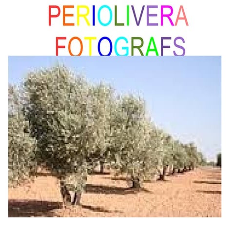 Cati Torres Roig presentations