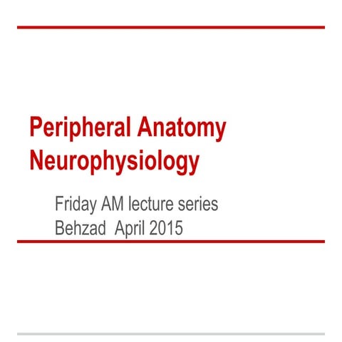 Peripheral+Anatomy.pptx | Death, Injury, or Military Conflict ...