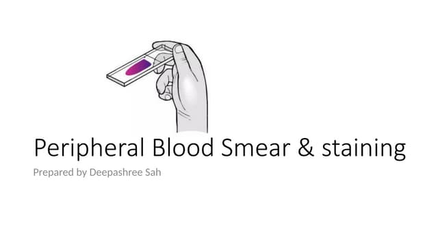 Preparation and staining of peripheral blood smear | PPTX