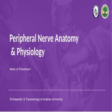 Peripheral Nerve Anatomy & Physiology .pptx