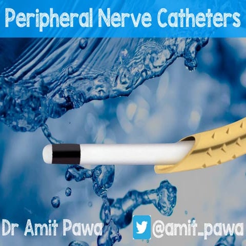 Trunk Blocks - Plan A Blocks - Royal College of Anaesthetists ...