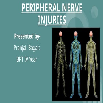 PERIPHERAL NERVE INJURIES (presented by pranjal).pptx