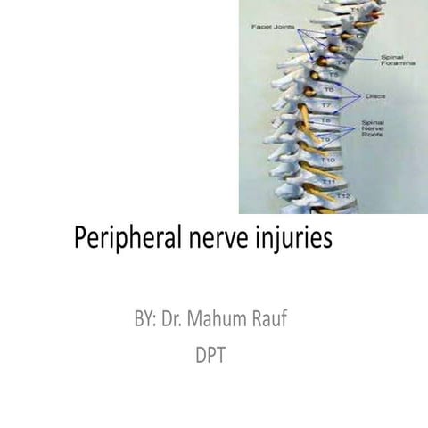 peripheral nerve injuries.physiology.pptx