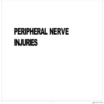 Peripheral Nerve Injuries 1 Pptx Peripheral Nerve Injury Pptx