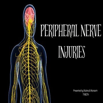 PERIPHERAL NERVE STRUCTURE AND CLASSIFICATION | PDF