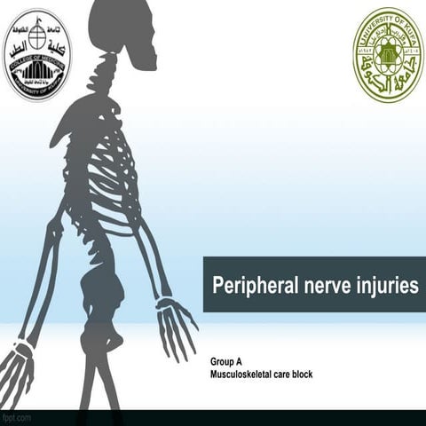 Peripheral nerve injury | PPT