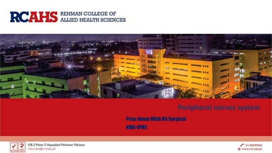 Peripheral Nervous System (PNS) | PPT