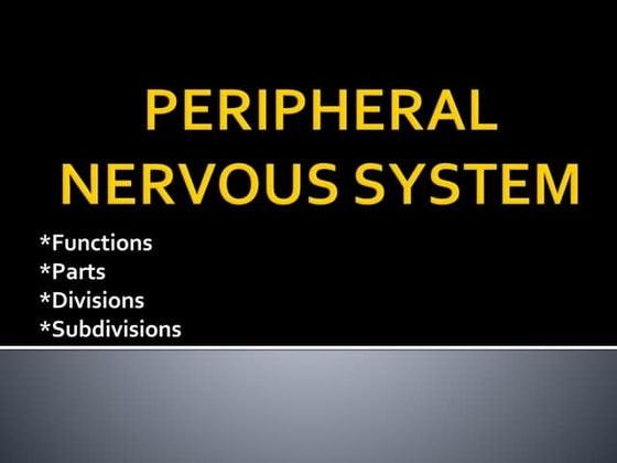 Peripheral Nervous System (PNS) | PPT