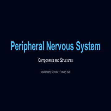 Peripheral Nervous System for anatomy students | PPTX