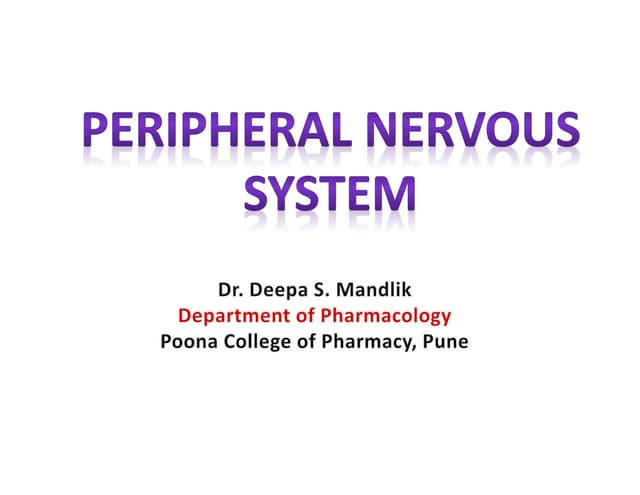 Peripheral Nervous System (PNS) | PPTX