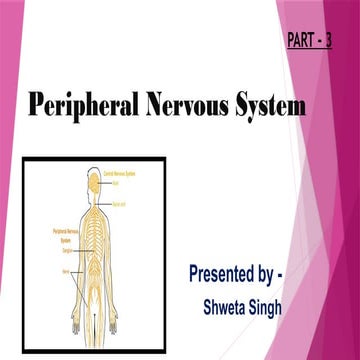 Peripheral Nervous System (nervous system)....pptx
