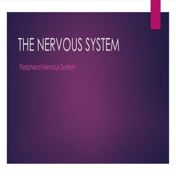 Peripheral Nervous System.pptx