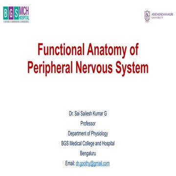 Peripheral NS including Autonomic Nervous system | PPTX