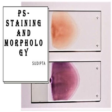 Preparation and staining of peripheral blood smear | PPTX