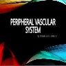 PERIPHERAL VASCULAR SYSTEM.pptx