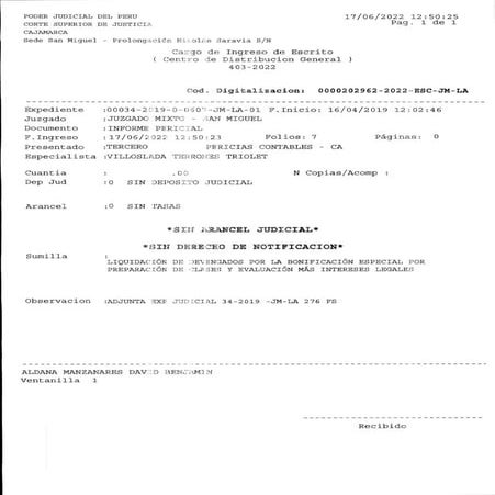 modelo de peritaje judicial para presentar en el poder judicial | PDF