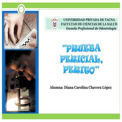 Perito | PPT
