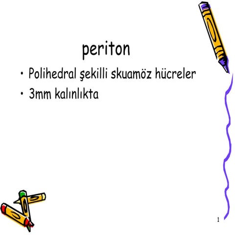 Periton ve-akut-karin (fazlası için www.tipfakultesi.org) | PPT