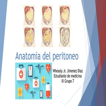 Anatomia del peritoneo | PPTX
