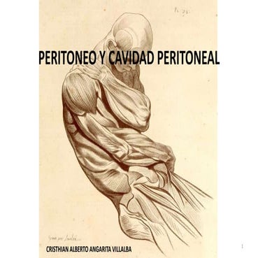Peritoneo y cavidad peritoneal | PPTX