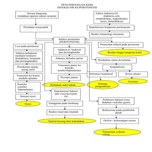 Peritonitis AKPER PEMKAB MUNA | DOC
