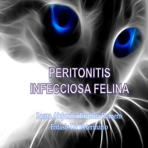 Atlas de enfermedaes de piel en perro y gato | PDF